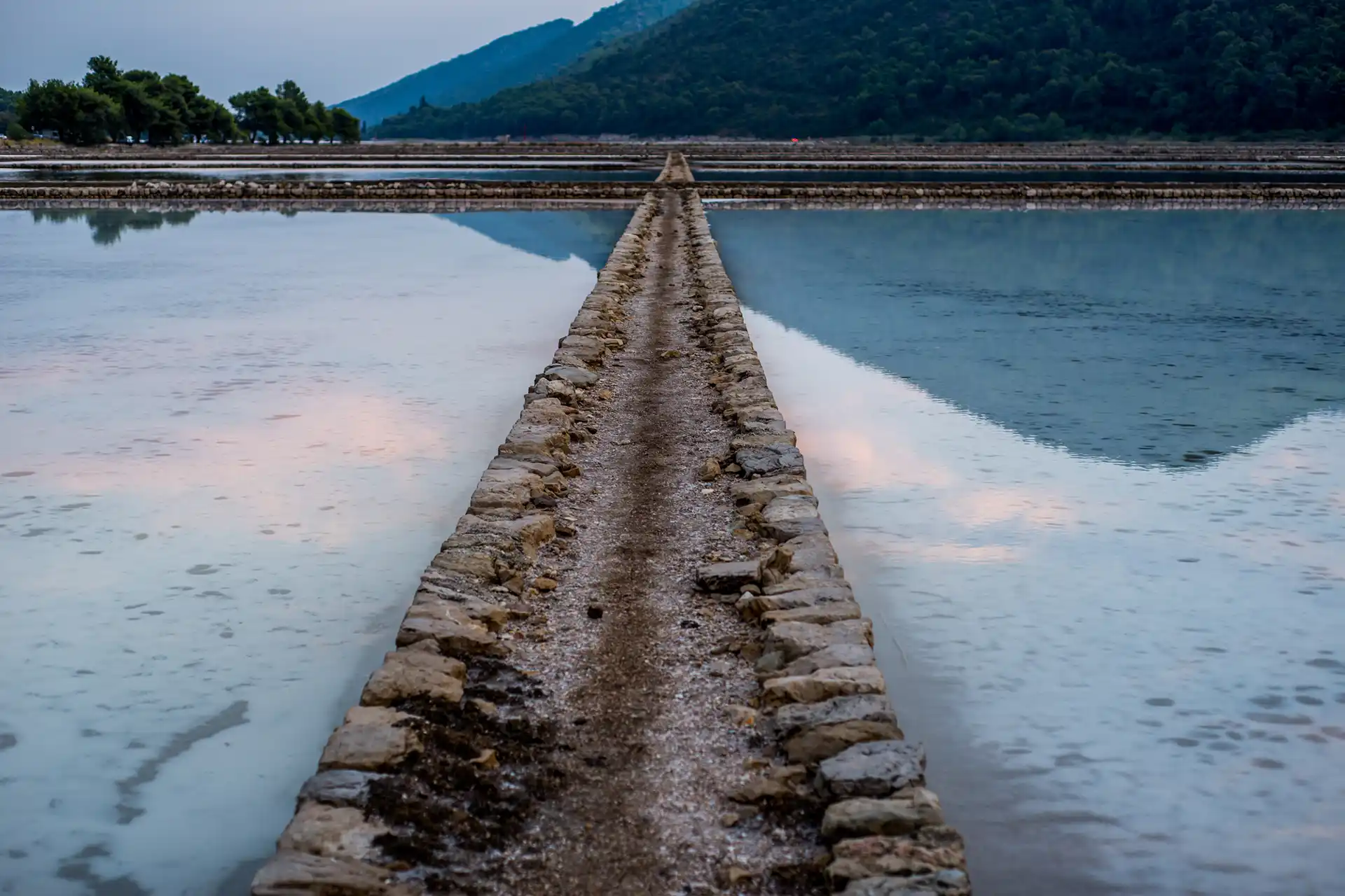 Visiting the Ston Salt Pans: A Journey Through History and Tradition